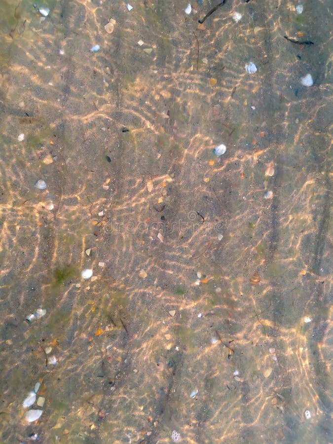 Sandy Shallow Water in the Form of Waves through the Water Surface ...