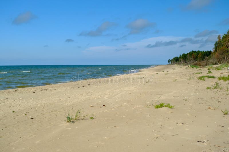 The Sandy Shore of the Baltic Sea. Wide Coastal Area and Dunes. Stock ...