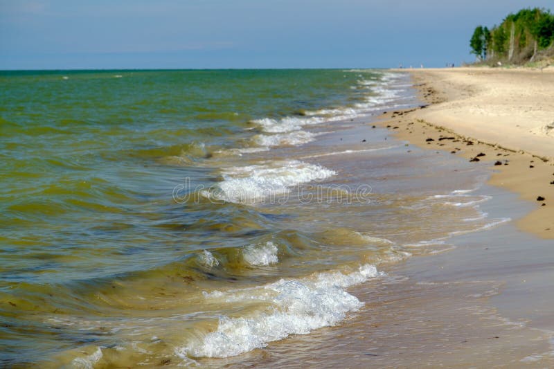 The Sandy Shore of the Baltic Sea. Wide Coastal Area and Dunes. Stock ...