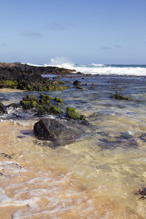 Sandy Shore stock photo. Image of hawaii, sandy, beach - 30696294