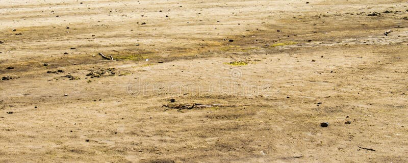 Sandy Shore Covered with Remnants of Shells of River Mussels Stock ...