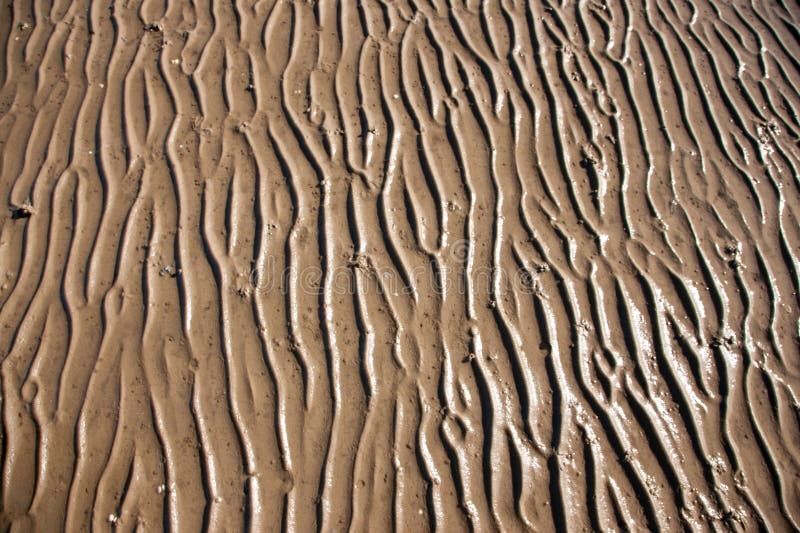 Sandy Shore of the Ocean with Pattern Stock Image - Image of surface ...