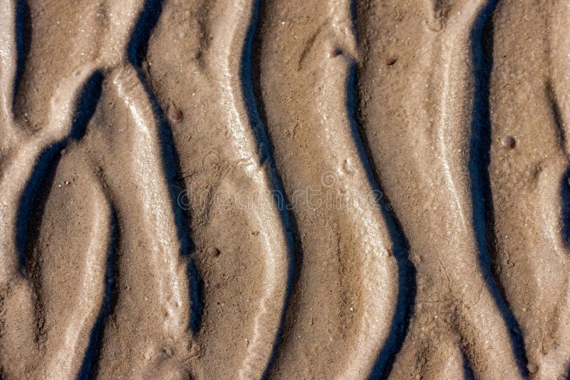 Sandy Shore of the Ocean with Pattern Stock Photo - Image of coastline ...
