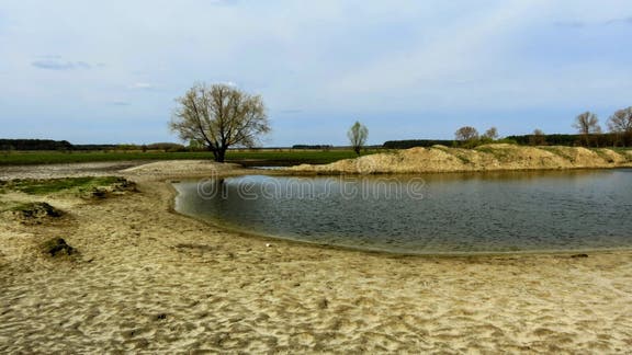 Sandy Shore, Pond, Lone Tree Stock Image - Image of waterway, sandy ...