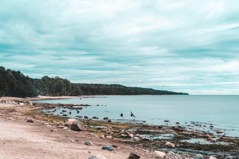 Sandy Shore with Stones in the Bay. Nature Landscape. Stock Photo ...