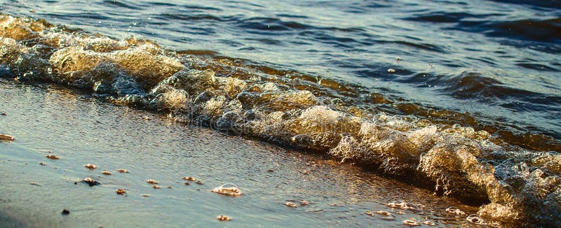 On the Sandy Shore of the Wave Runs Stock Image - Image of shore, color ...
