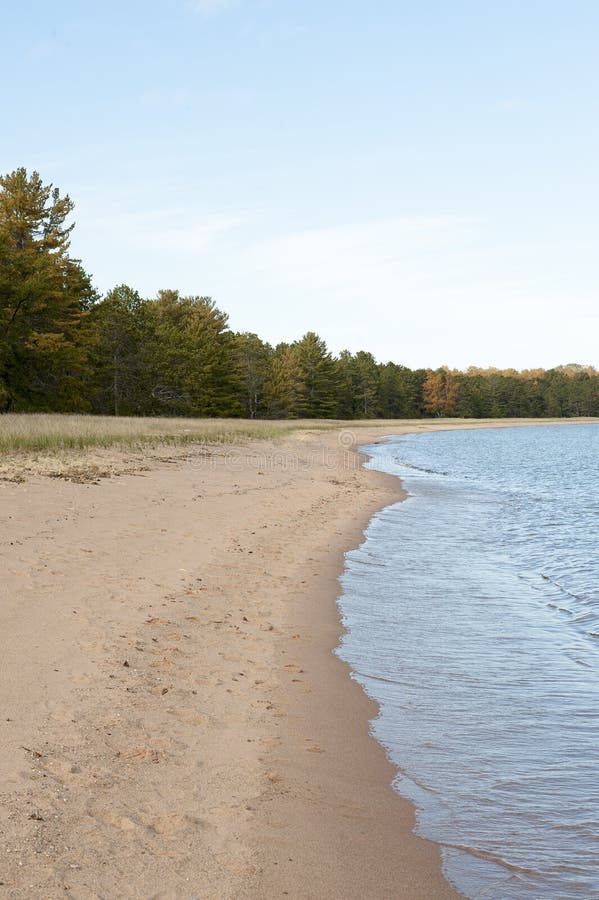 Sandy Shoreline stock photo. Image of solitude, trees - 91367380