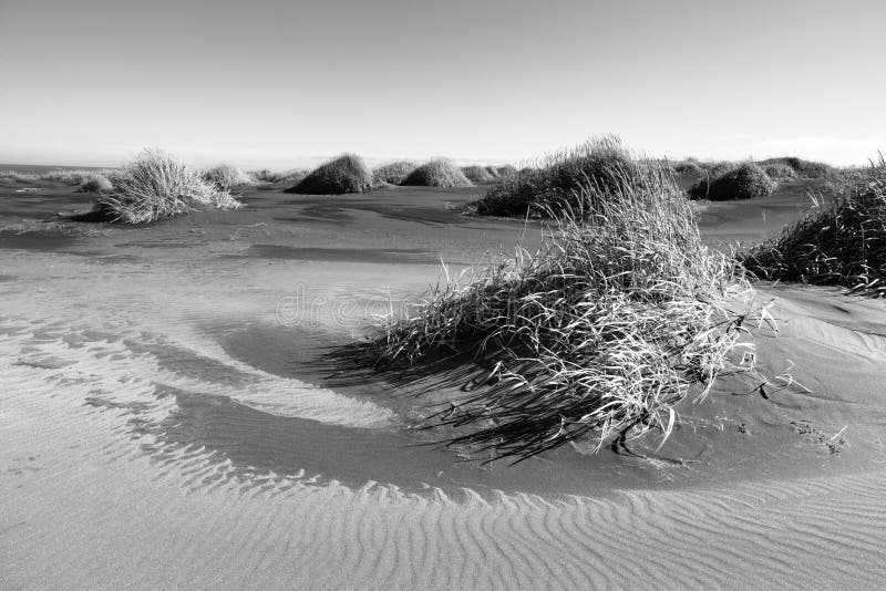 Sandy-Strand Nahe Stokksnes, Ost-Island Stockbild - Bild von himmel ...