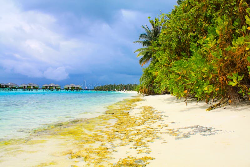 Sandy-Strand von Maldives stockfoto. Bild von luft, kristall - 22149222
