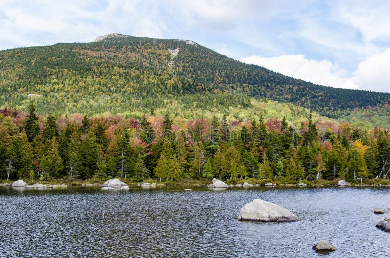 Stream and Pond Meshushim in Israel Stock Image - Image of stream ...