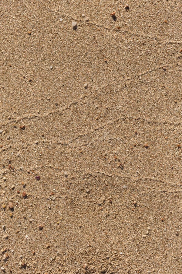 The Sandy Surface. the Texture of the Sea Shore Stock Photo - Image of ...
