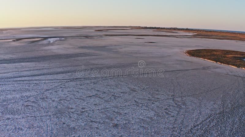 Sandy Swamp with Large Patches of Grass and Bushes Stock Video - Video ...