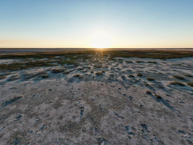 Sandy Swamp with Large Patches of Grass and Bushes Stock Photo - Image ...
