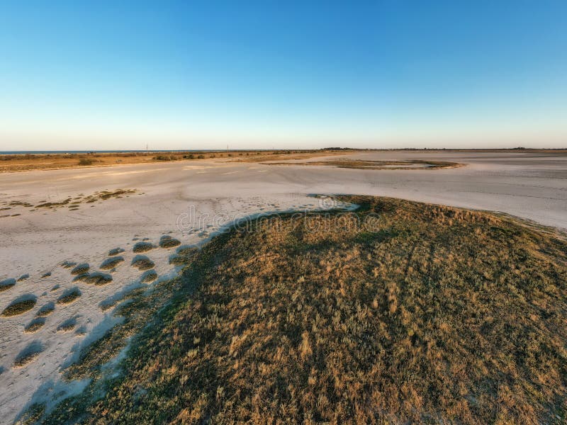 Sandy Swamp with Large Patches of Grass and Bushes Stock Image - Image ...