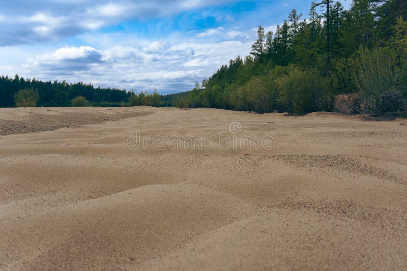 Sandy Terrain with Forest and Mountains Under Cloudy Sky Stock Image ...