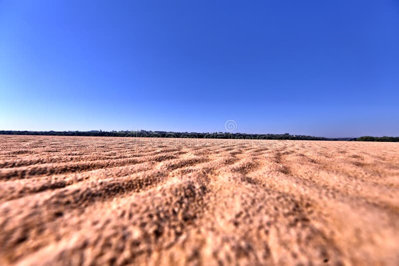 Sandy stock photo. Image of field, sunrising, marked - 60828208