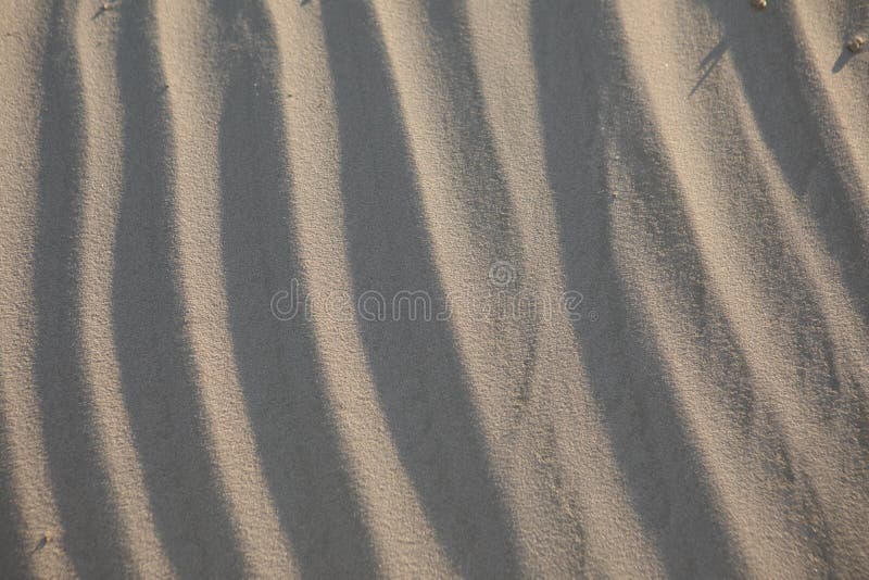 Sandy Texture with Shadows and Winds Waves Stock Image - Image of ...