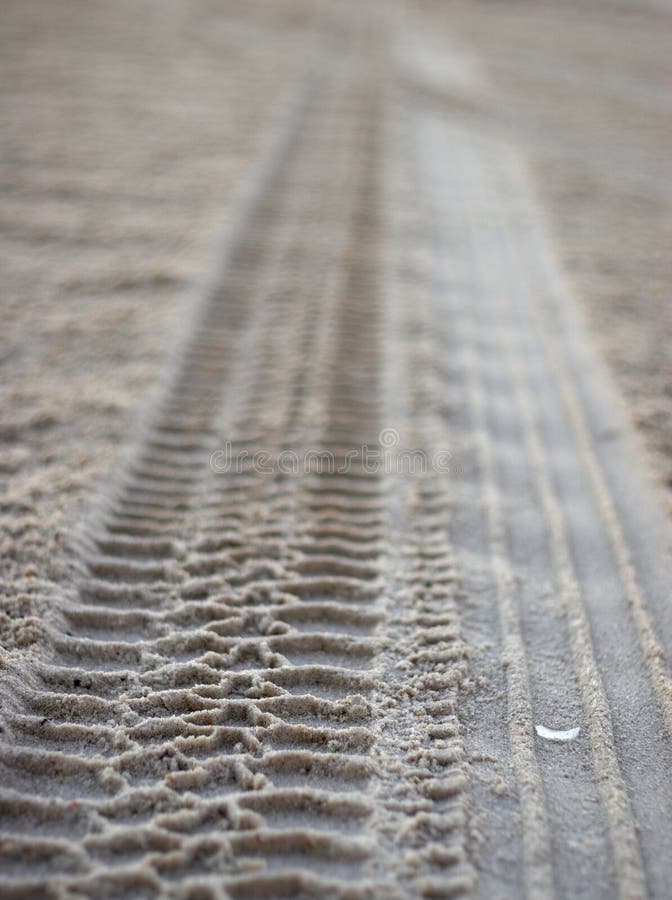 784 Shell Imprint Stock Photos - Free & Royalty-Free Stock Photos from ...