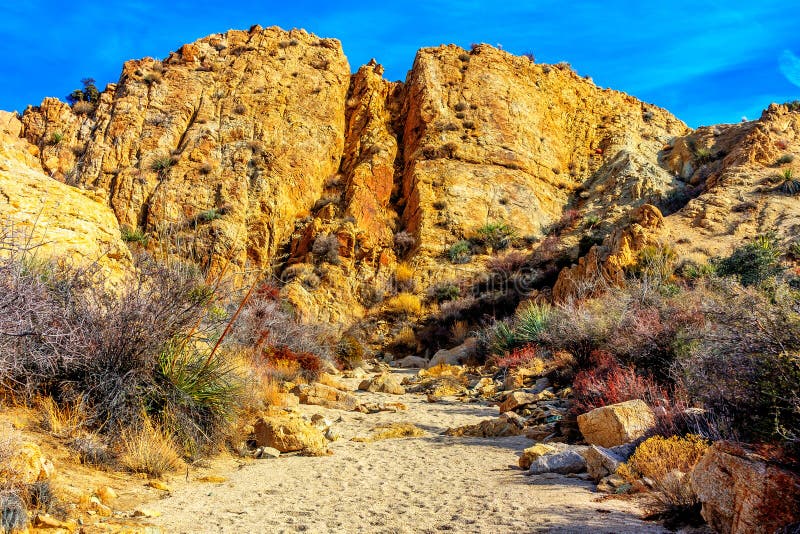 Sandy Trail in the Desert stock image. Image of light - 108012389