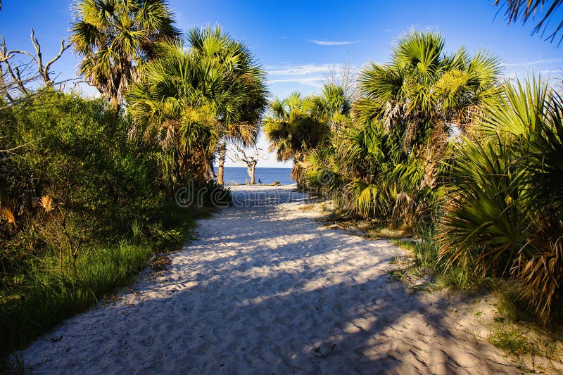 Sandy Tropical Beach Entry or Walkway with an Ocean View in the ...