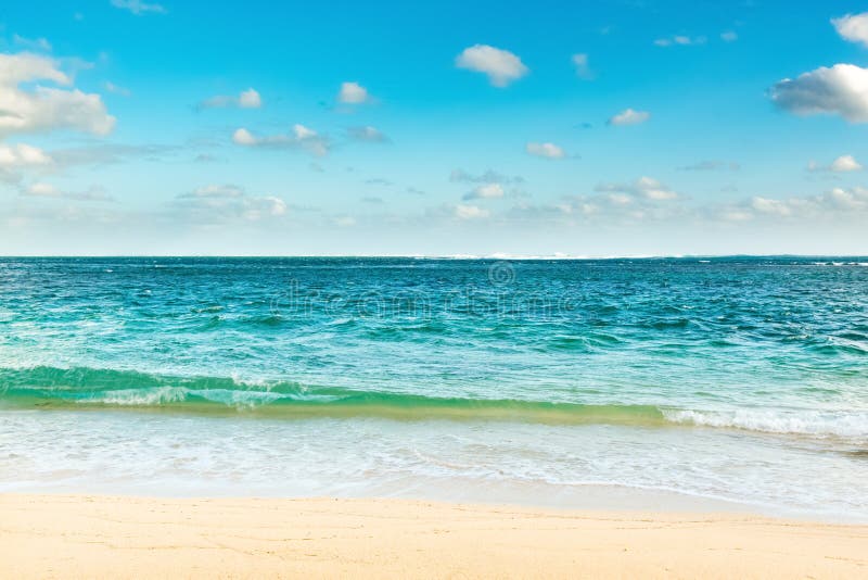Sandy tropical beach. stock photo. Image of sandy, scene - 84473978