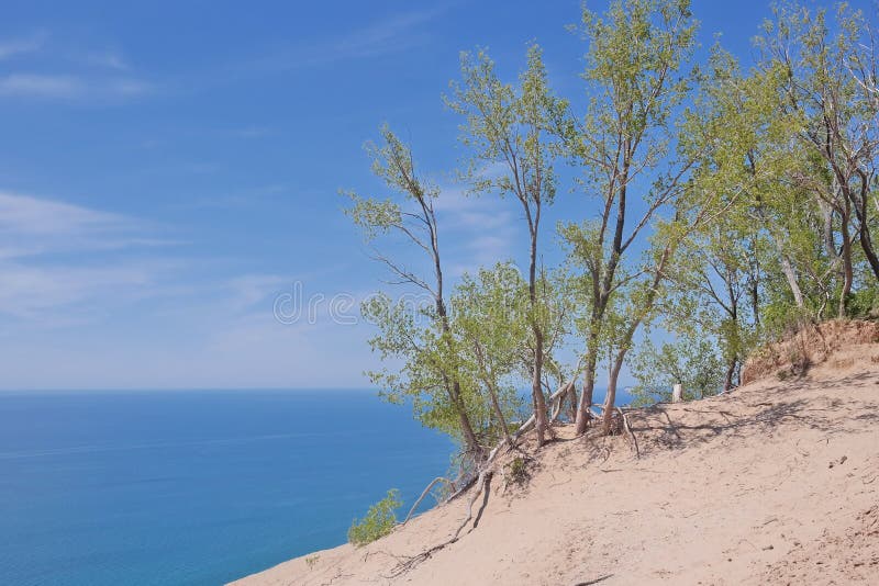 Sandy View stock image. Image of trees, water, ocean - 60738971