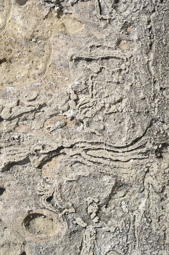 Sandy wall surface stock image. Image of texture, carved - 398530089