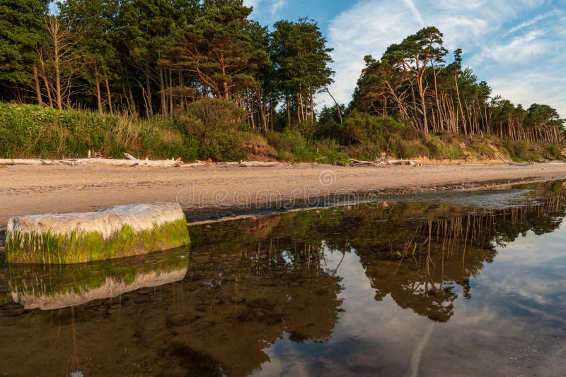Sandy Water Shoreline with Stone and Trees Stock Image - Image of water ...