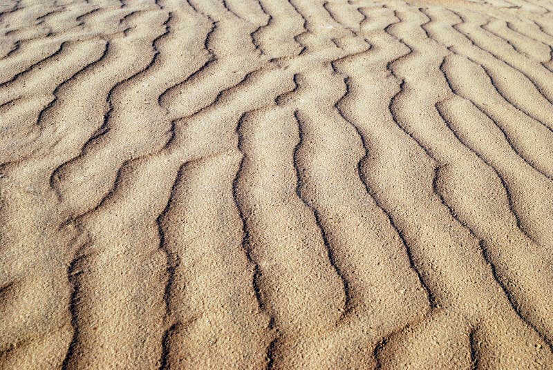 Sandy waves stock image. Image of nature, color, ripples - 12819233