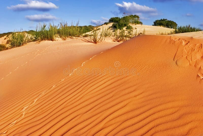 Sandy waves. stock photo. Image of beauty, destinations - 6970514