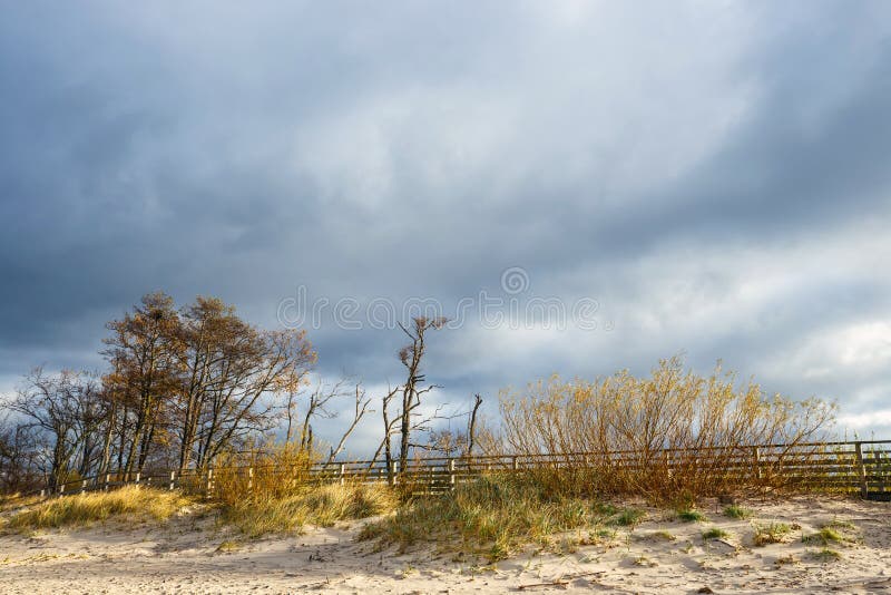 Sandy Yellow Beach with Cloudy Sky Stock Image - Image of seascape ...