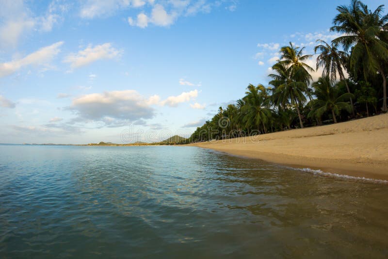 Sandybeach stock image. Image of sealine, relax, happiness - 84681233