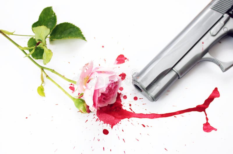 Sang Rose et canon image stock. Image du baril, blanc - 9931001