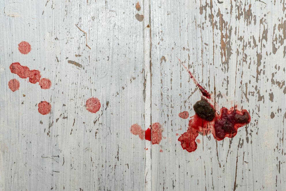 Sangre, Moco Y Heces De Un Perro Con Colitis Imagen de archivo - Imagen ...