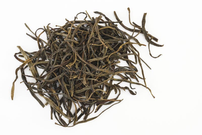 Sangri Indian mesquite stock image. Image of india, indian - 83431717