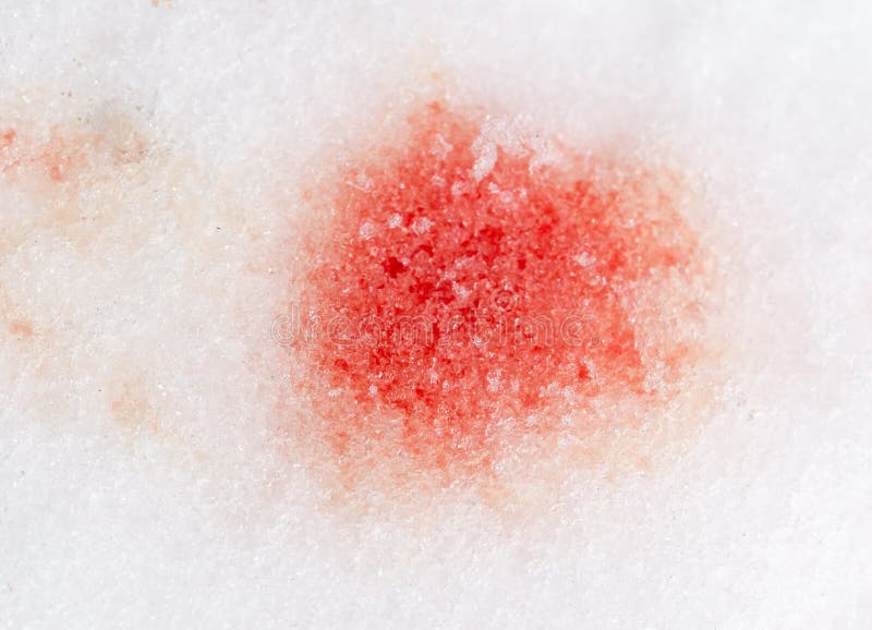 Sangue vermelho na neve foto de stock. Imagem de assassinato - 106597626