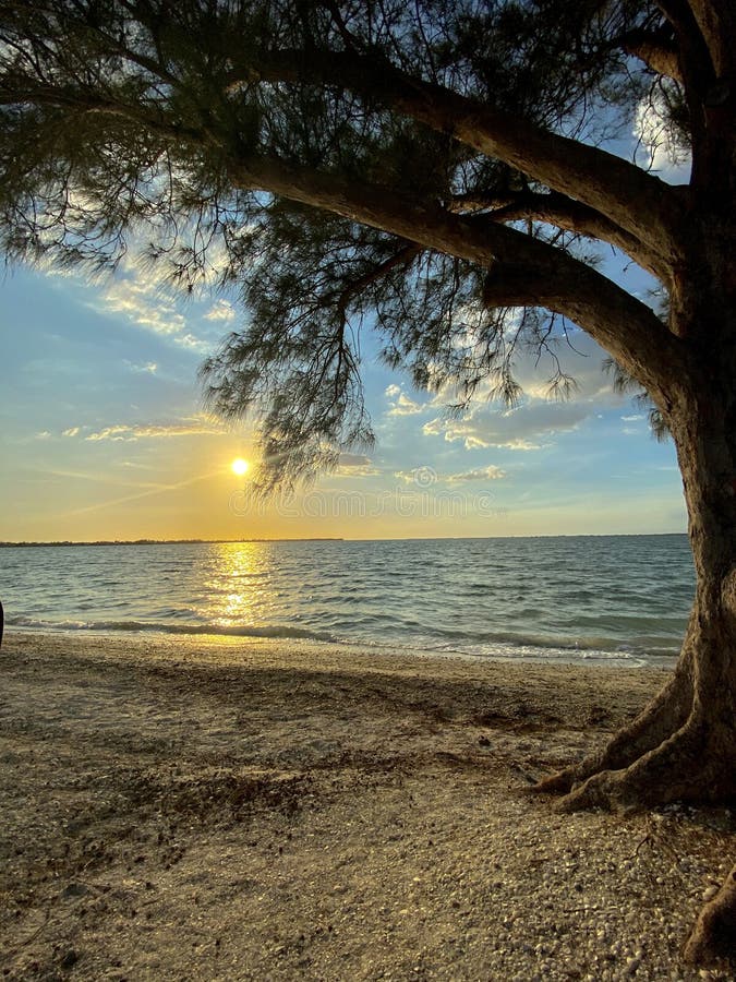 Sanibel Causeway Lee Beach Florida in Spring Stock Photo - Image of ...