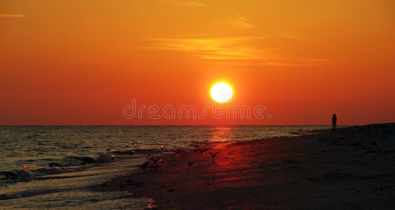 Sanibel Island Sunset stock photo. Image of birds, seascape - 5751162