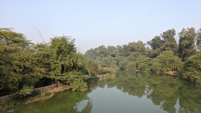 Sanjay Lake View with Reflection of Dense Trees on Either Side in Delhi ...