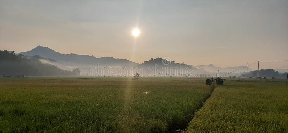 Sanmori stock photo. Image of morning, nature, good - 222490358