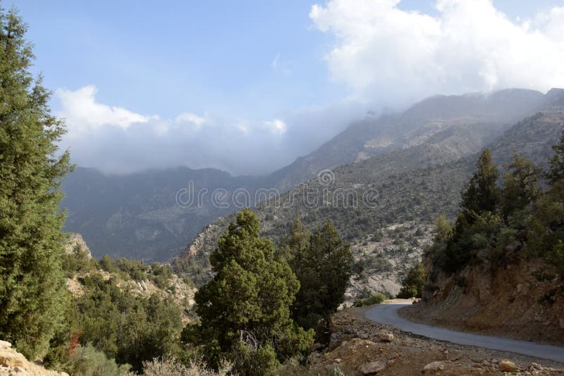 Sanober Stock Photos - Free & Royalty-Free Stock Photos from Dreamstime