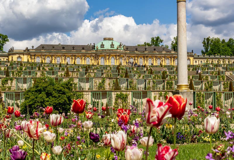 Sanssouci Palace and Park with Spring Flowers, Potsdam, Germany Stock ...