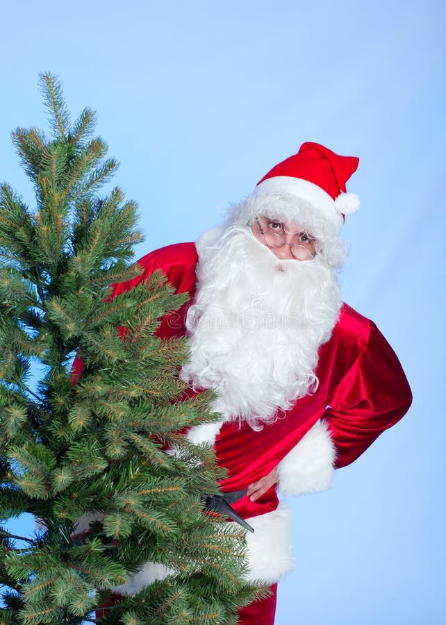 Santa and Christmas tree stock image. Image of festive - 21905779