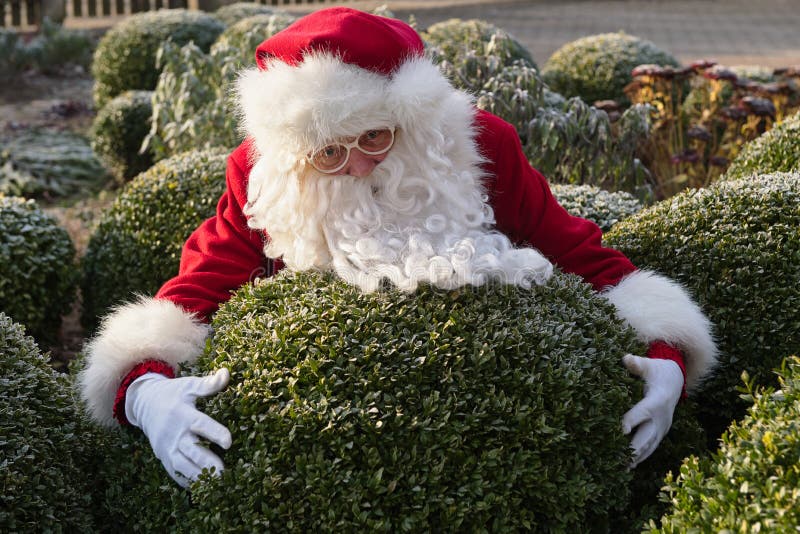 Happy Santa Claus portrait stock photo. Image of santa - 131973518