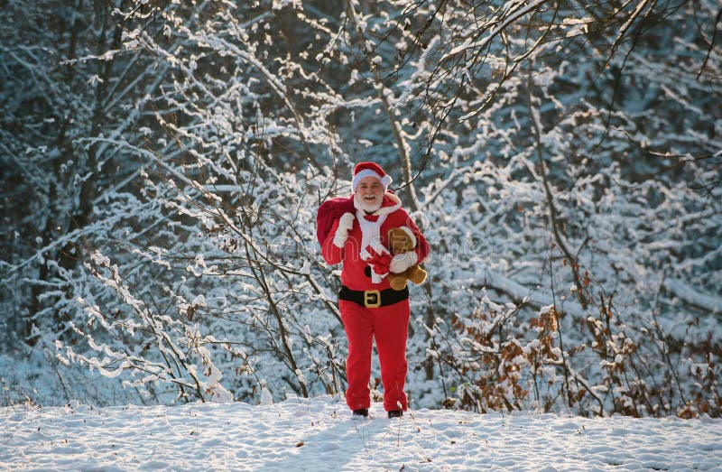 Santa Claus with Christmas Gift in the Snow. Stock Image - Image of ...