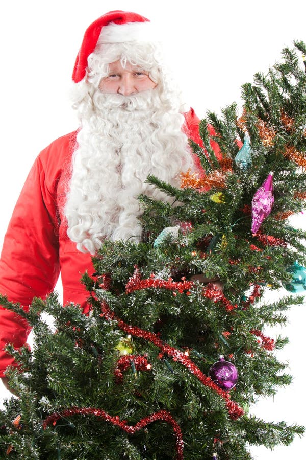 Santa Claus with Christmas Tree Stock Image - Image of portrait, hold ...