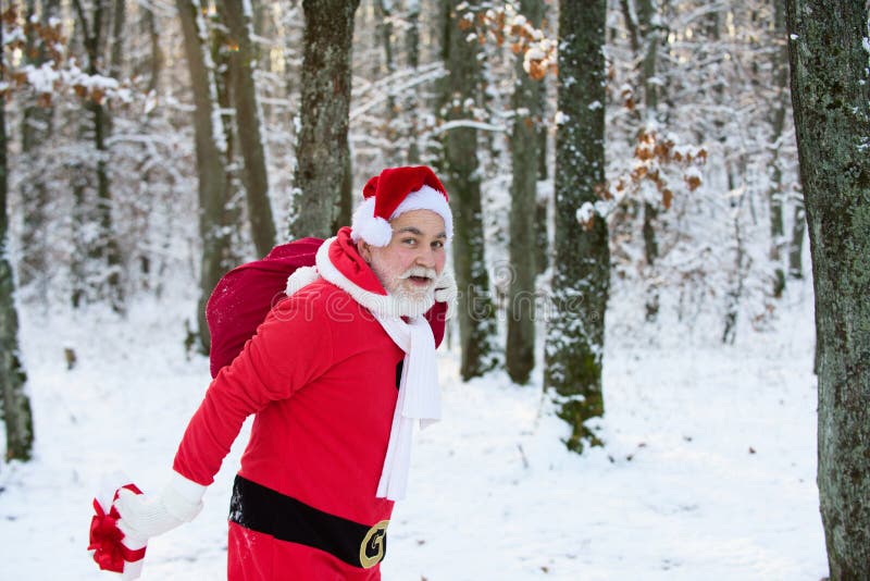 Santa Claus Comes in the Snow Forest. Stock Photo - Image of presents ...