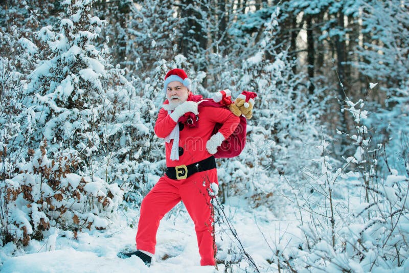 Santa Claus Comes in the Snow Forest. Stock Photo - Image of cool ...