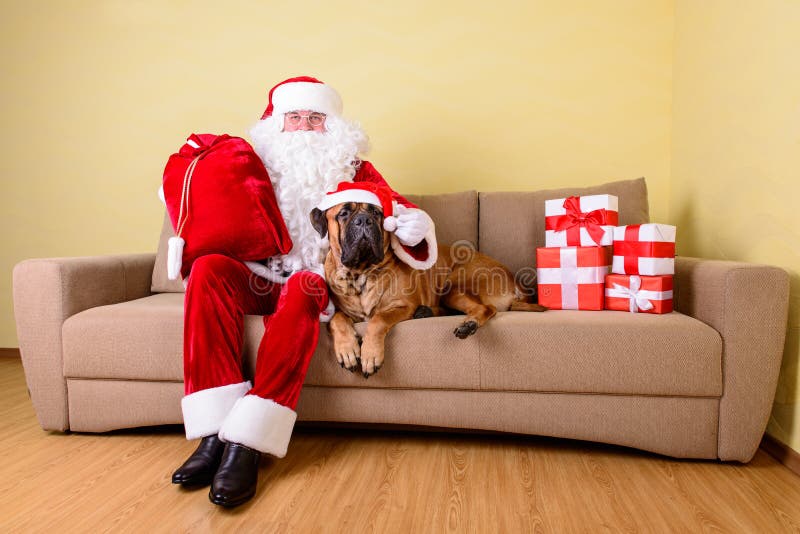 Santa Claus with dog stock image. Image of seasonal, claus - 46695517