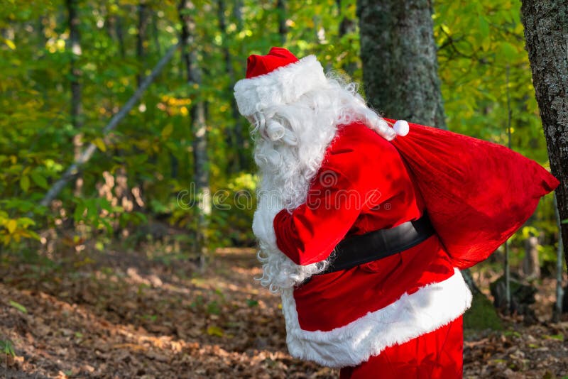 Santa Claus is Suffering from Back Pain on Forest Stock Image - Image ...